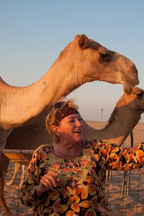 How many ways to say camel? | My Custard Pie