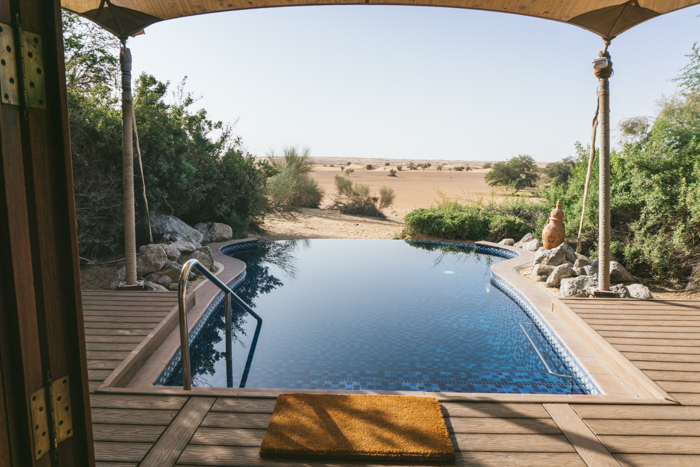 Al_Maha-04608 | My Custard Pie