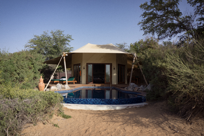 Al_Maha-04611 | My Custard Pie